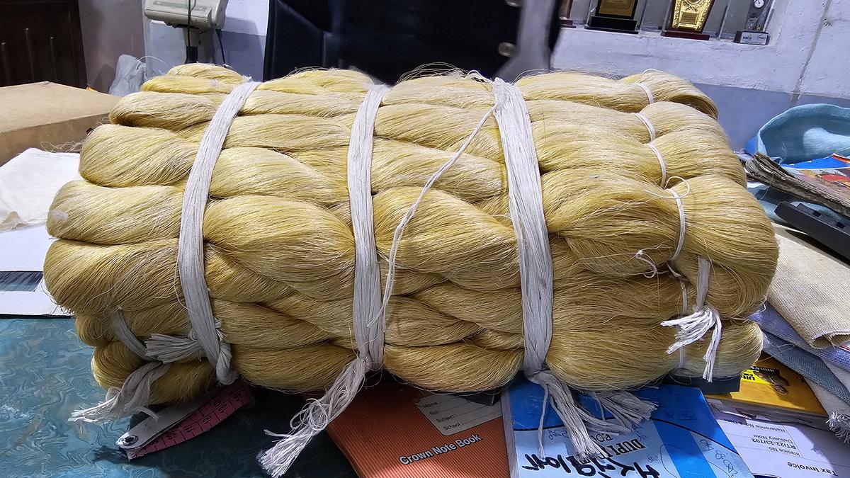 In Bihar’s Bhagalpur, weavers face a silk slub - The Hindu