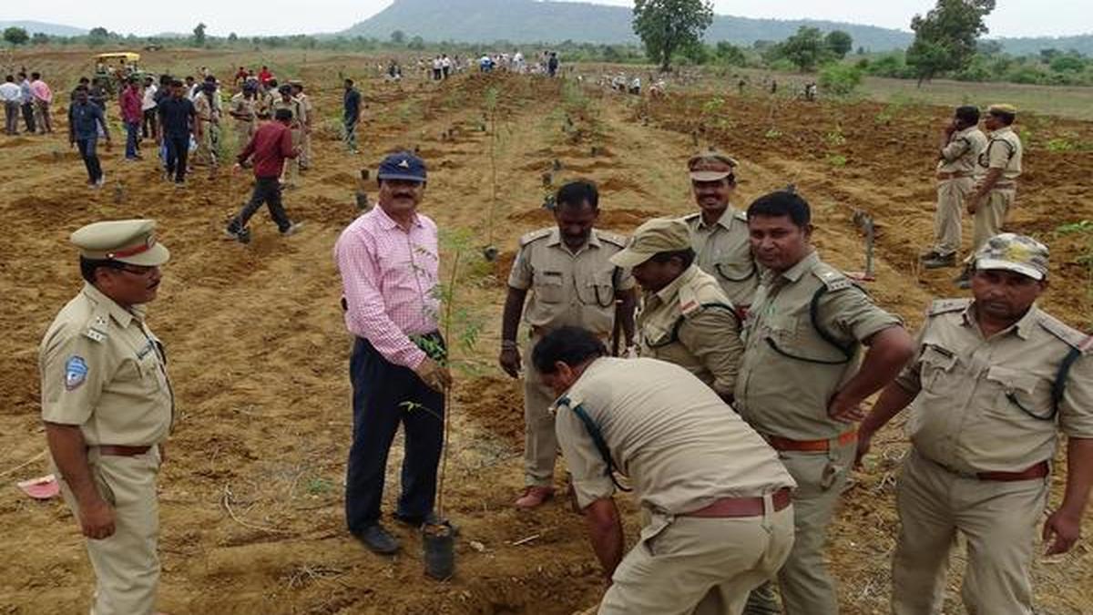 Two Kagaznagar forest officials transferred - The Hindu