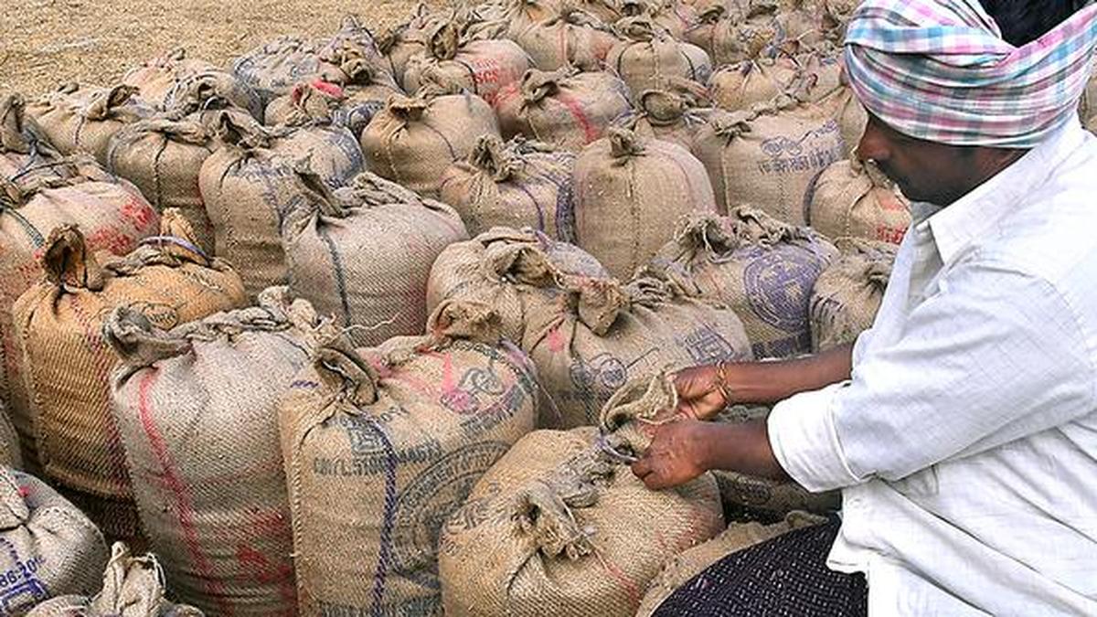 Paddy procurement almost over - The Hindu