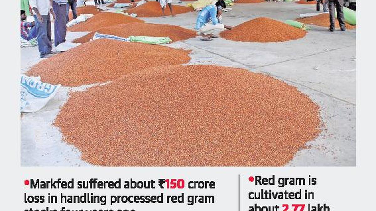 Telangana Markfed learns from its mistakes - The Hindu