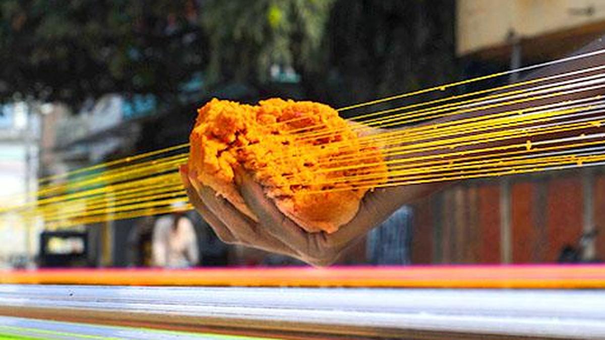 Multi-pronged approach against Chinese manja - The Hindu