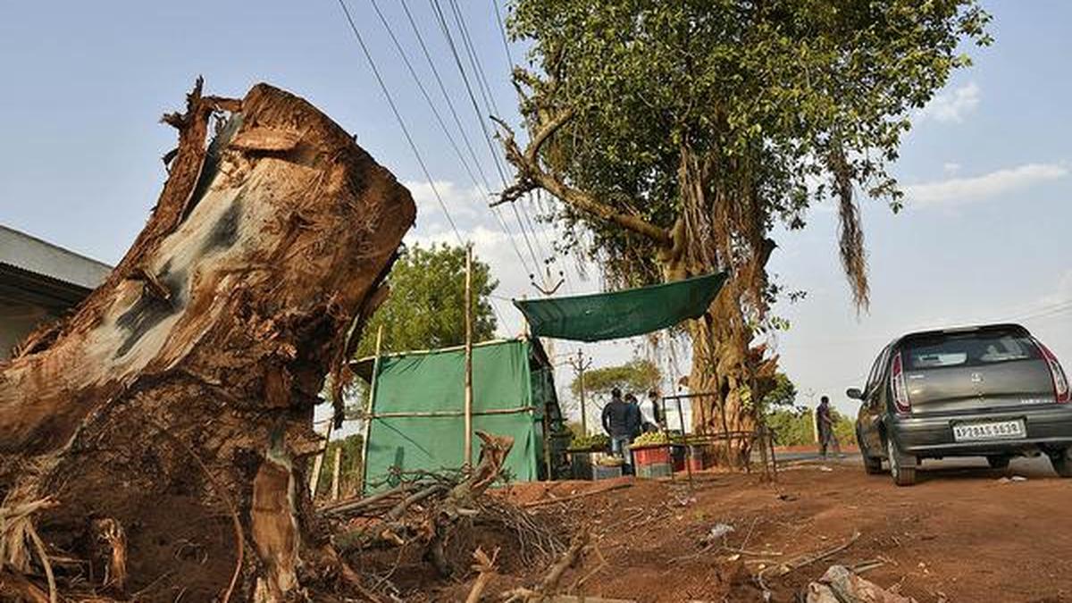 Highway expansion clearing roadside trees - The Hindu