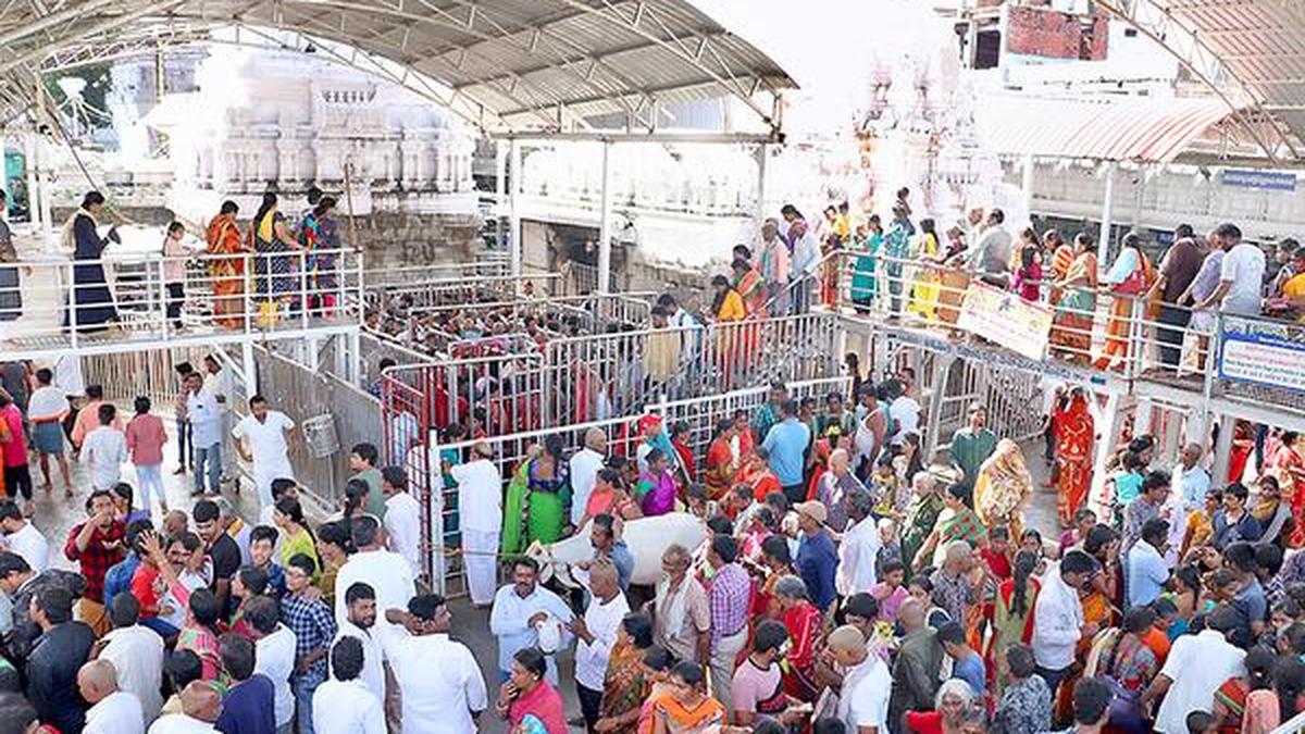 Vemulawada temple brimming with devotees - The Hindu