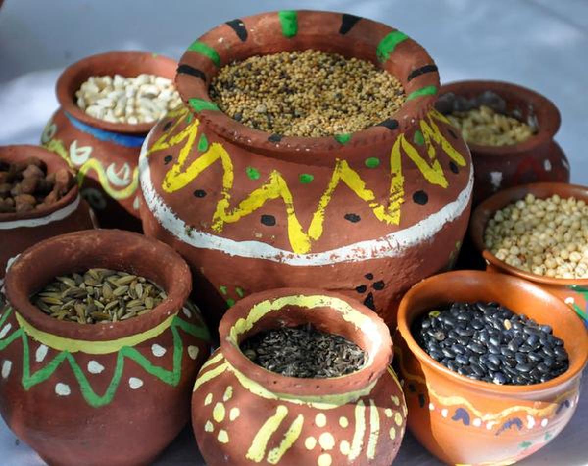 ‘Recognise millets as foods of future’ - The Hindu