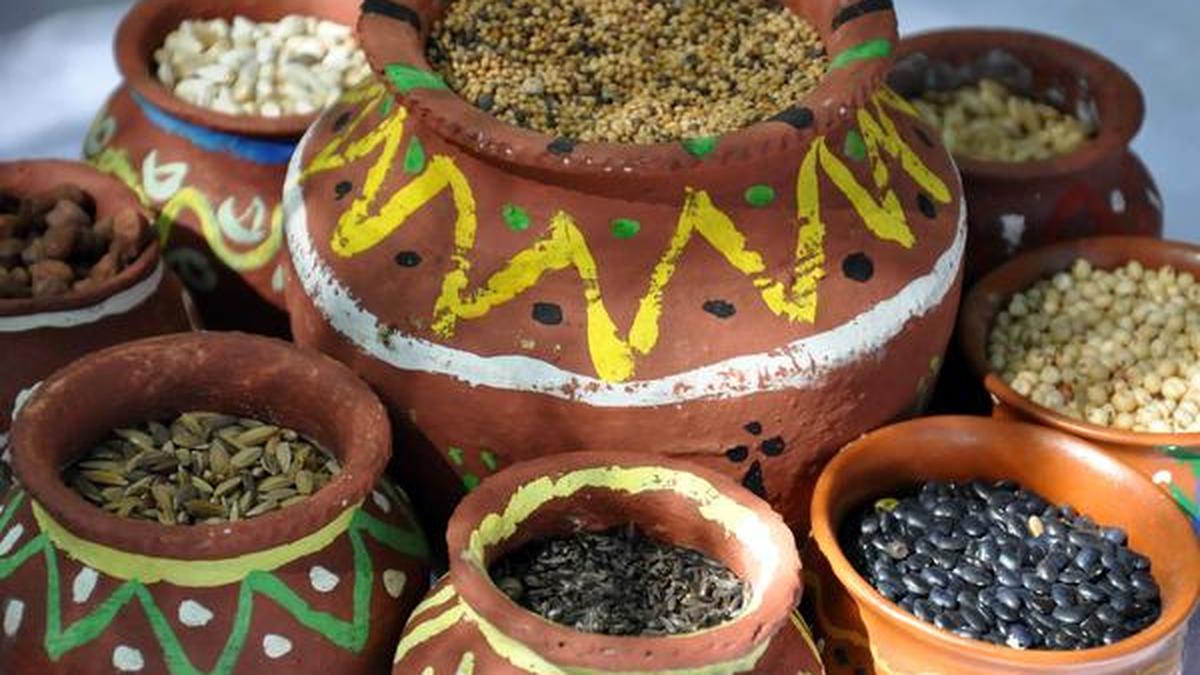 ‘Recognise millets as foods of future’ - The Hindu