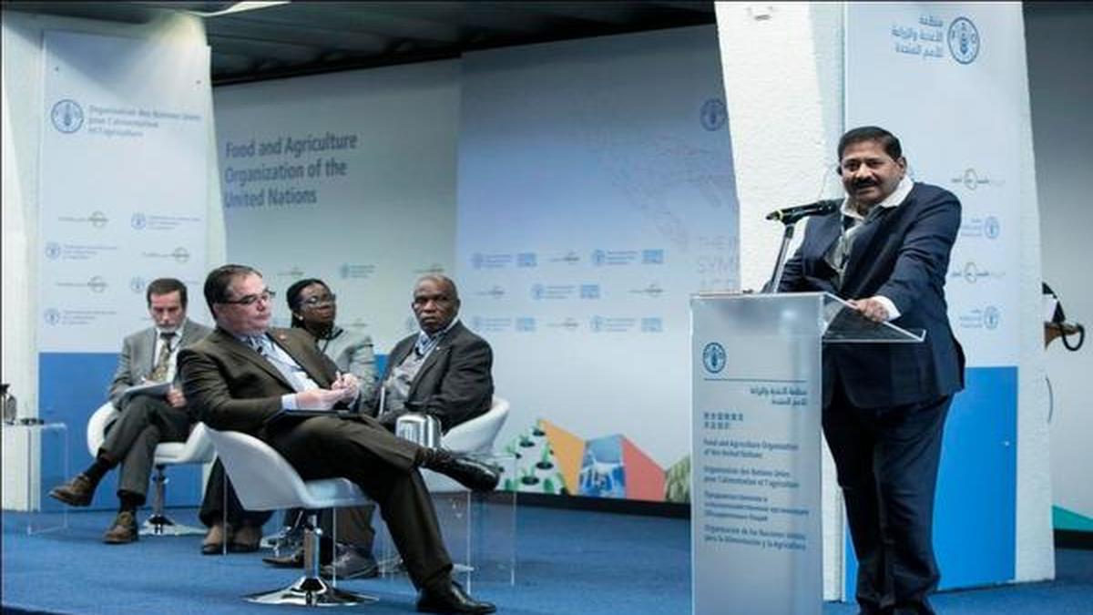 FAO offers to team up with State for seed development - The Hindu