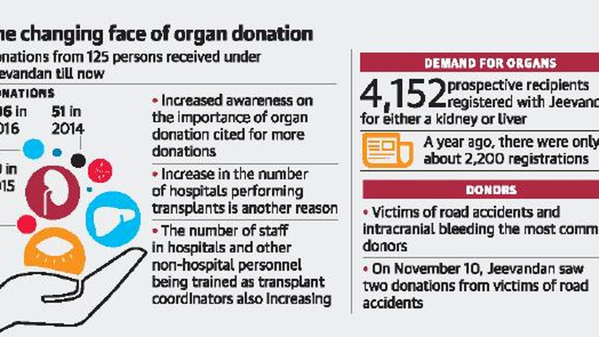 Surge in organ donation in city - The Hindu
