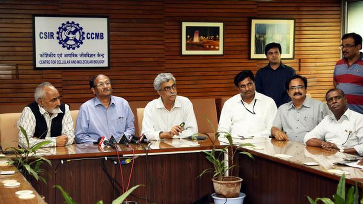 CCMB-IIRR tie-up for low GI rice - The Hindu