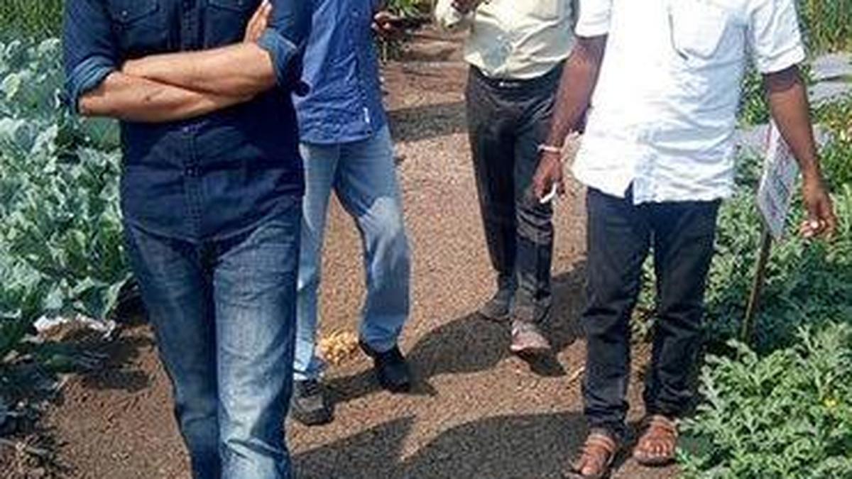 Sircilla Collector eyes Maharashtra model - The Hindu