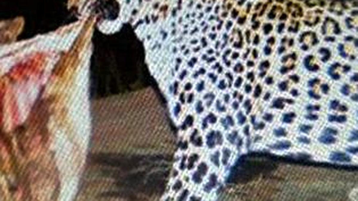 Killer leopard on the loose in Medak - The Hindu