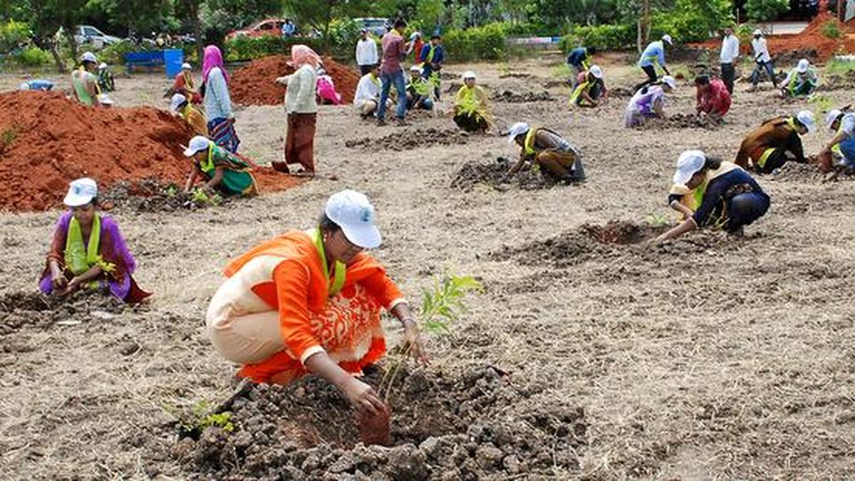 Haritha Haram a green gift to posterity: Jagadish Reddy - The Hindu