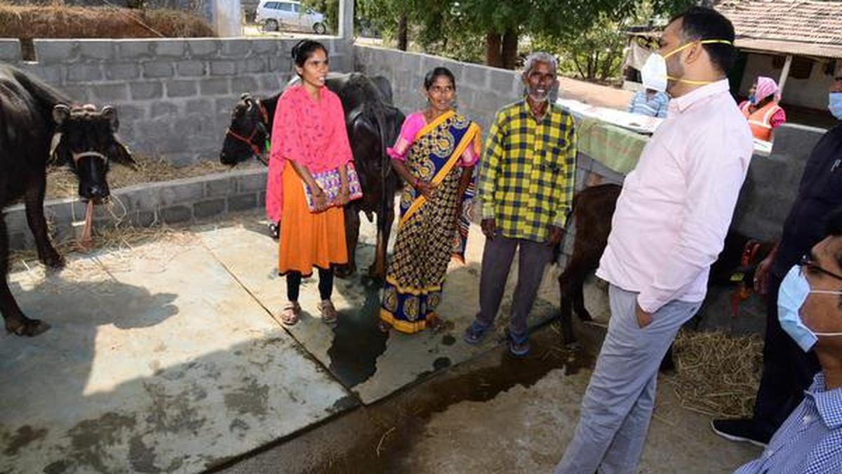 Dalit Bandhu dairy unit set up - The Hindu