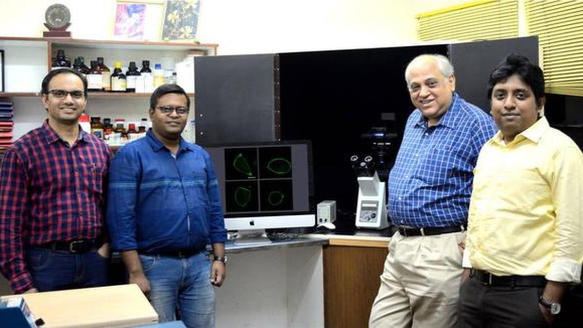 CCMB scientists moot new drug targets on cells - The Hindu