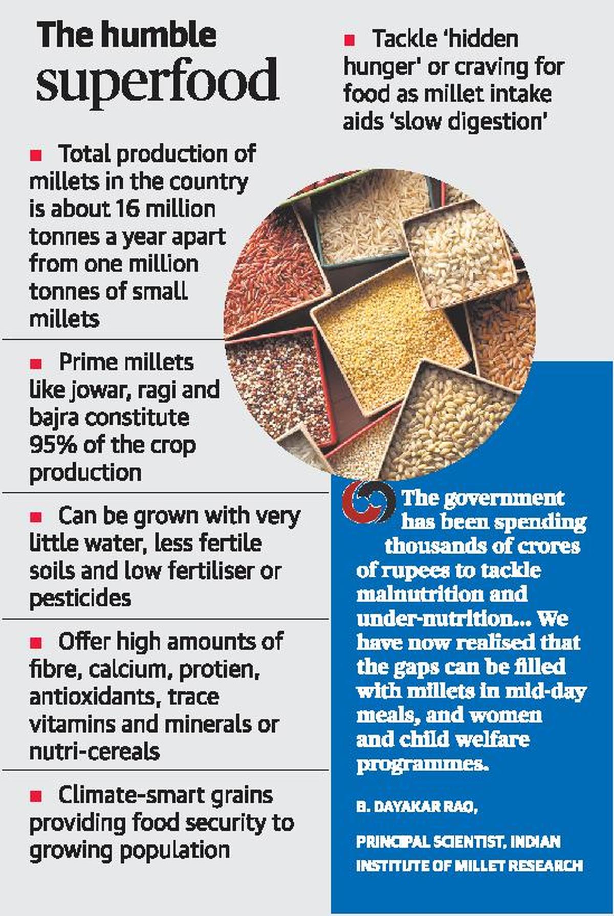 Mighty millets for a more diversified diet - The Hindu