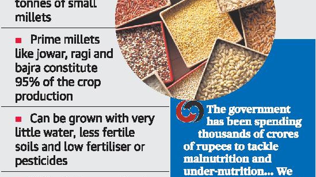 Mighty millets for a more diversified diet - The Hindu