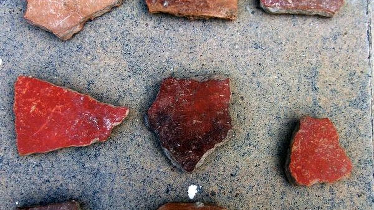 Early historic habitation site explored in Guntur - The Hindu