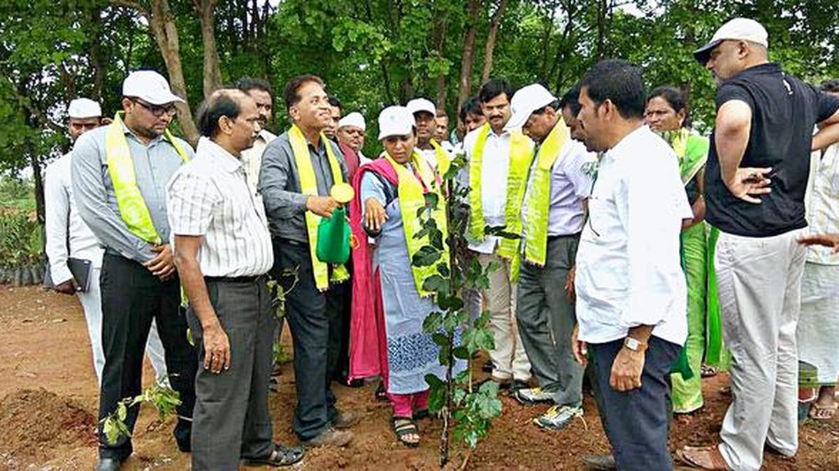 Creating mini-forests using Miyawaki - The Hindu