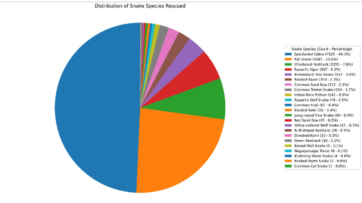 Snake rescues in Telangana increase five fold in 10 years; nearly 50% ...