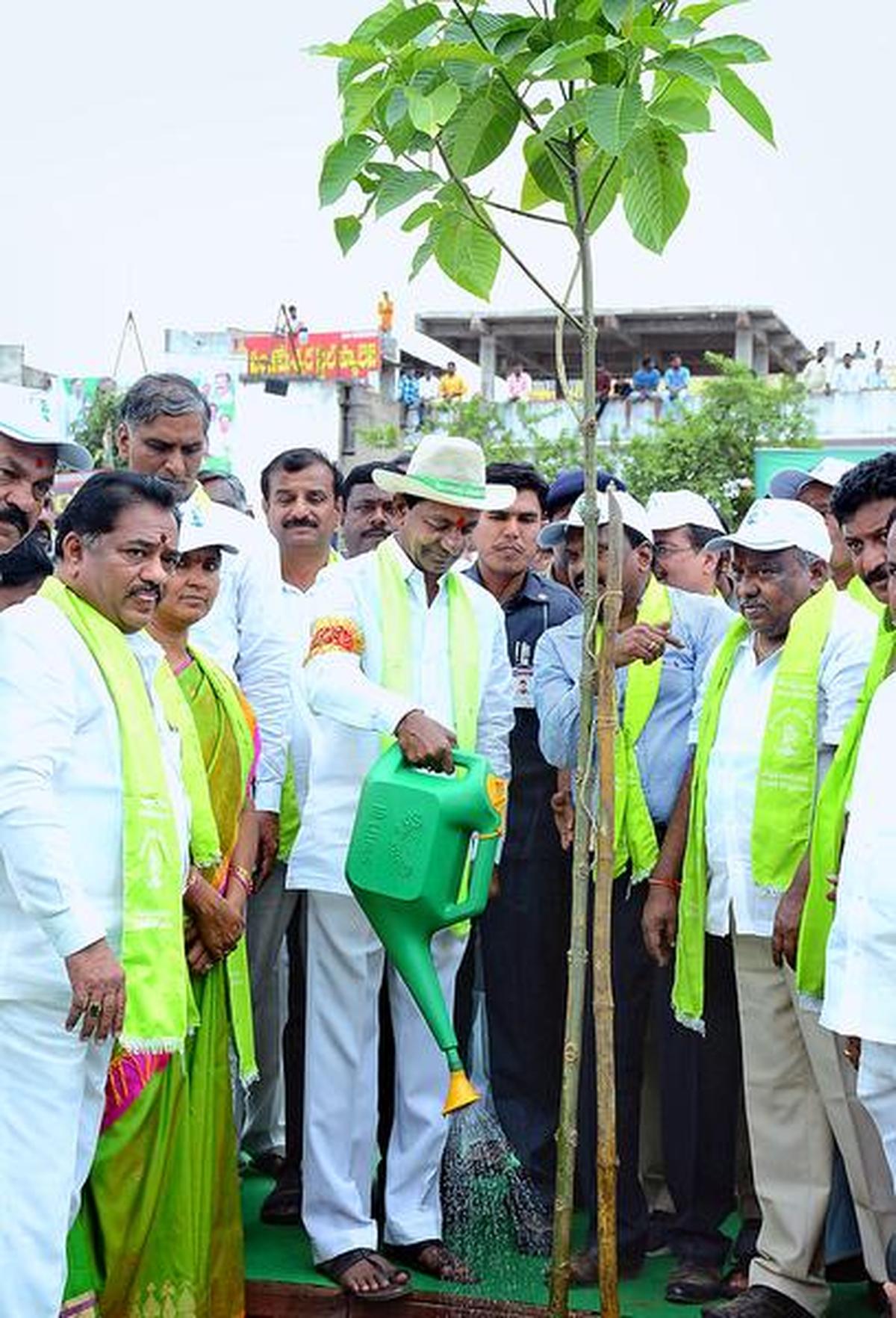 KCR kicks off Haritha Haram in Gajwel - The Hindu