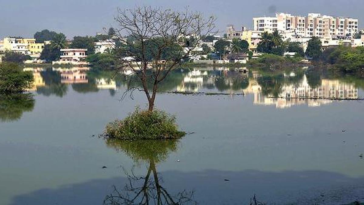 Lake in Alwal dies a slow death - The Hindu