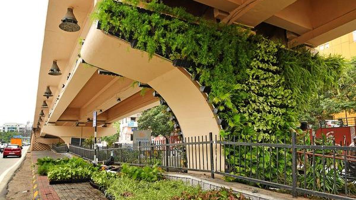 Green walls to greet commuters in city - The Hindu