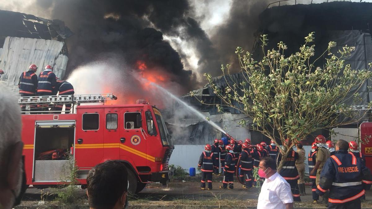 Fire at Kinfra Kalamassery park - The Hindu