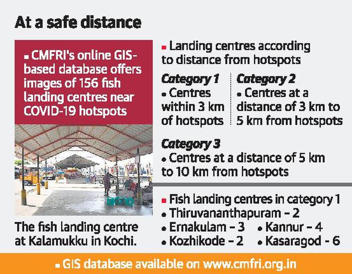 CMFRI offers info on fish landing centres near hotspots - The Hindu
