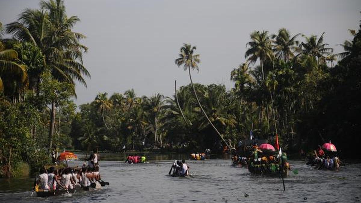 A dying river rows back to life - The Hindu