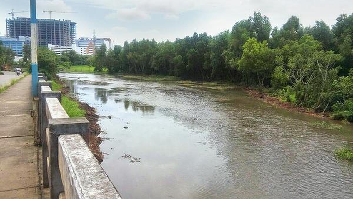 Kadambrayar gets new lease of life - The Hindu