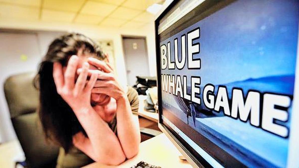 What is Blue Whale game? - The Hindu