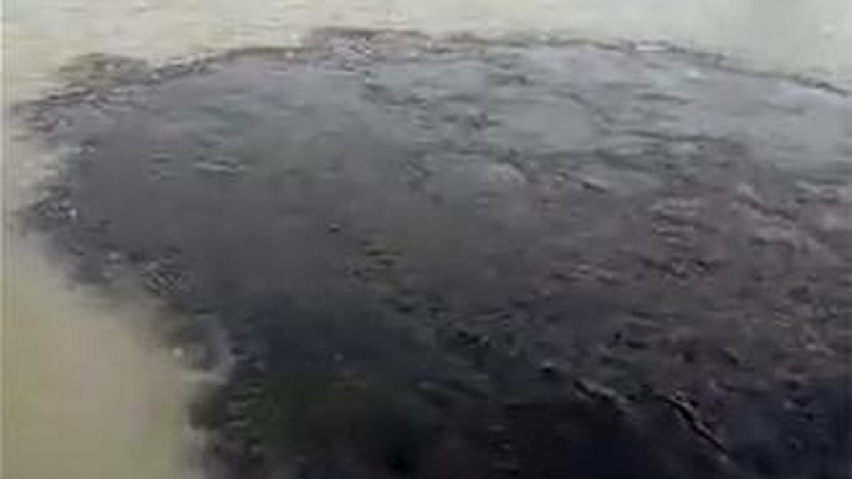 Periyar river turns black as Pathalam shutters open - The Hindu