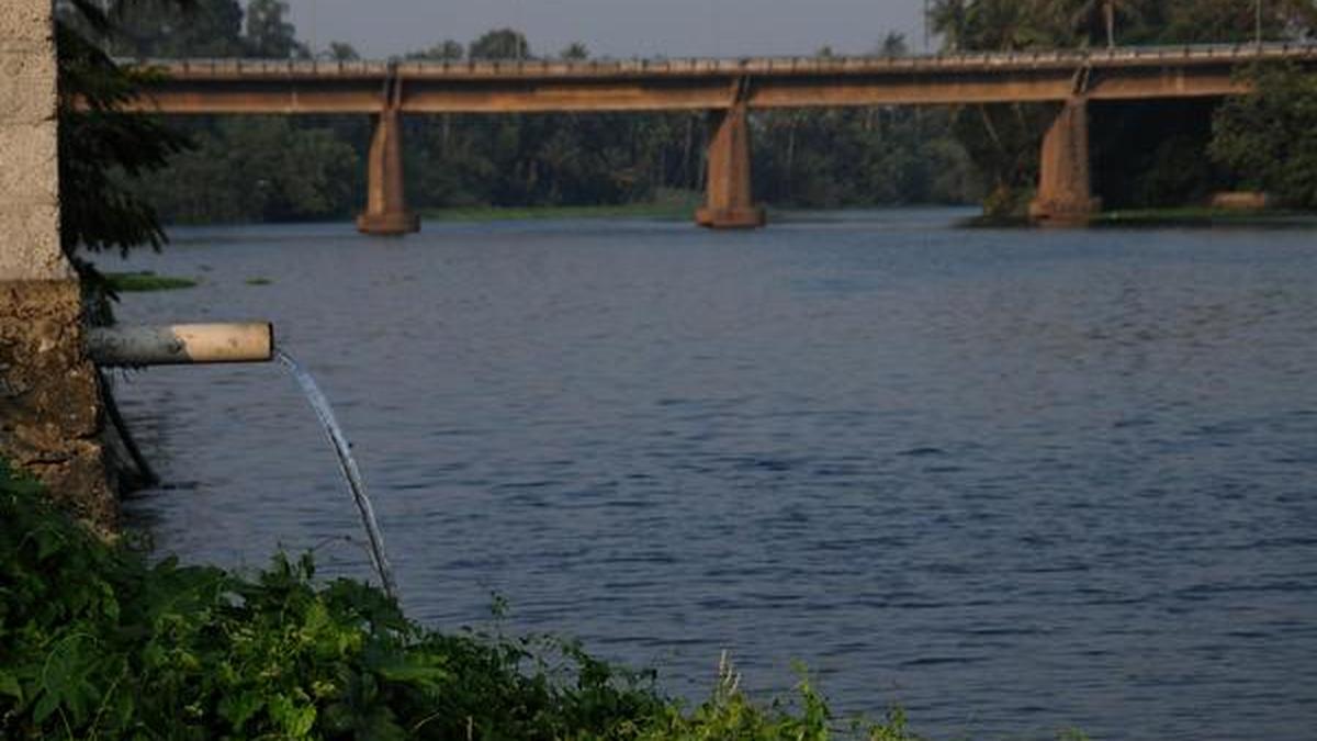 Pollution assessment of Periyar to be held in three phases - The Hindu