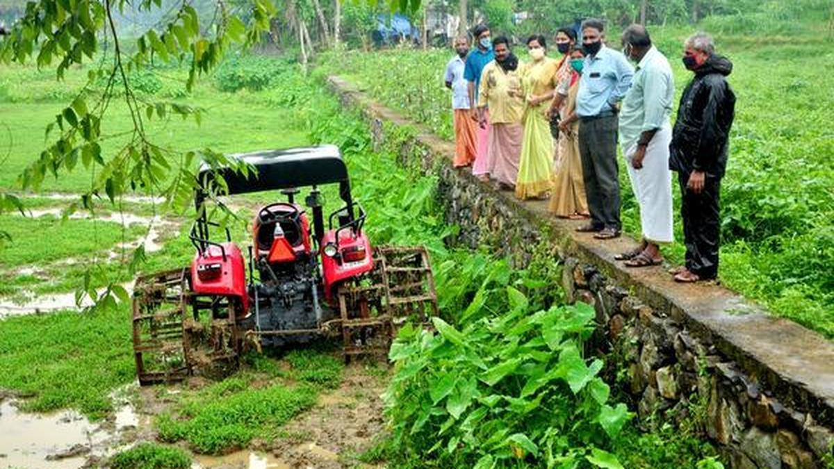 A roving farmer brings paddy farming to Perumbavoor - The Hindu