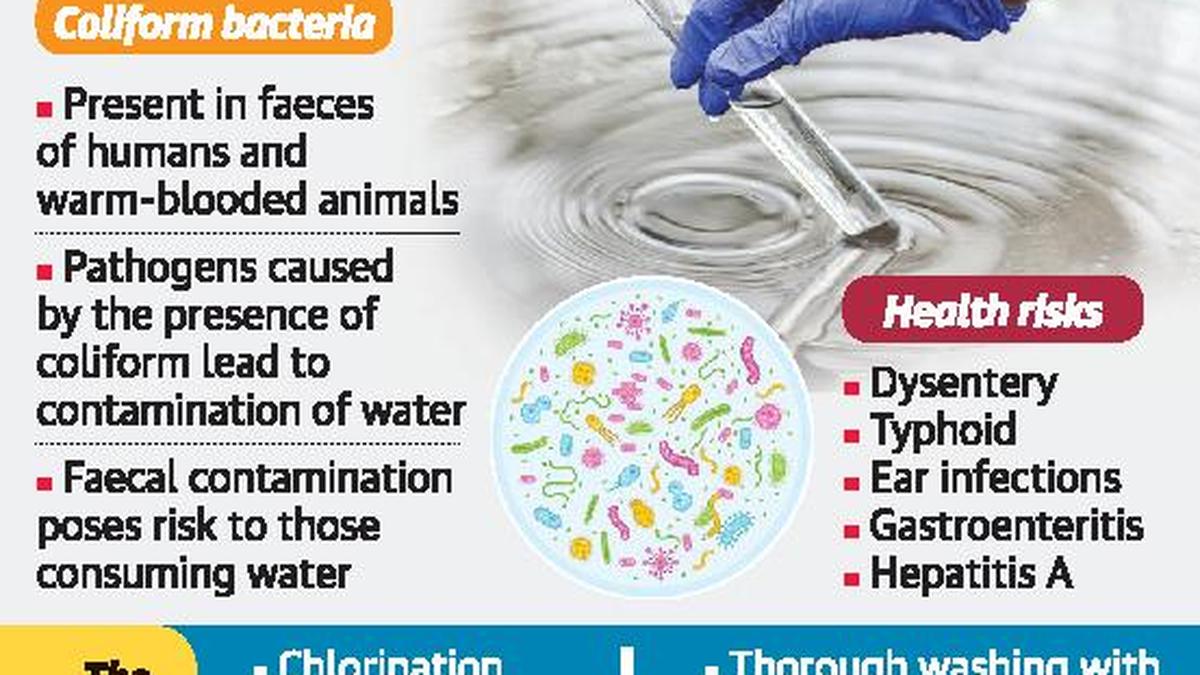 Two more water samples test positive for coliform - The Hindu