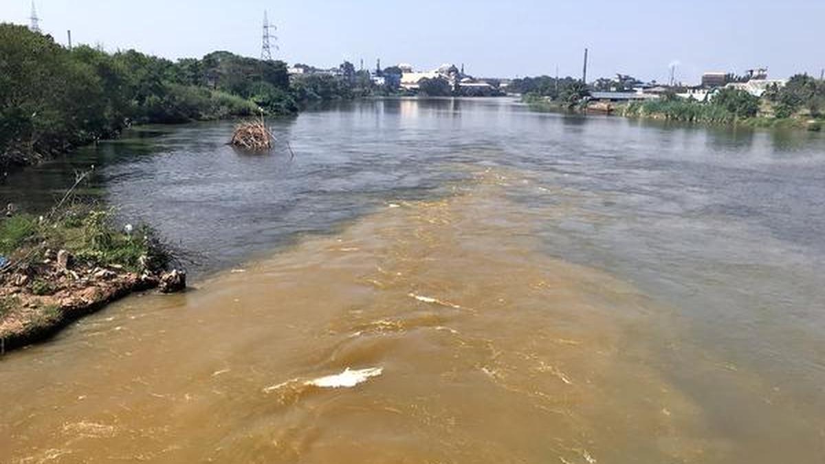 Greens, fishers see red over opening of Pathalam shutter - The Hindu