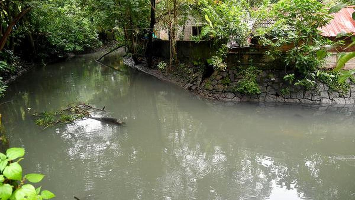 Project to rejuvenate Mullassery canal on track - The Hindu