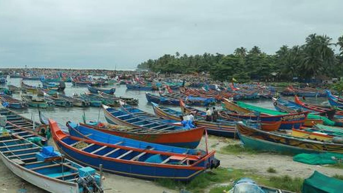Chellanam fishing harbour, ward turn containment zones - The Hindu