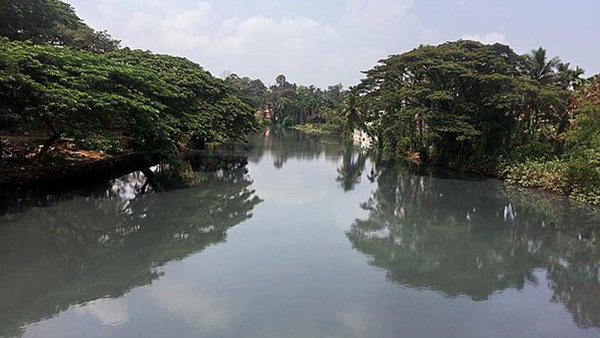 Sewage main cause behind colour change in Muttar, says official - The Hindu