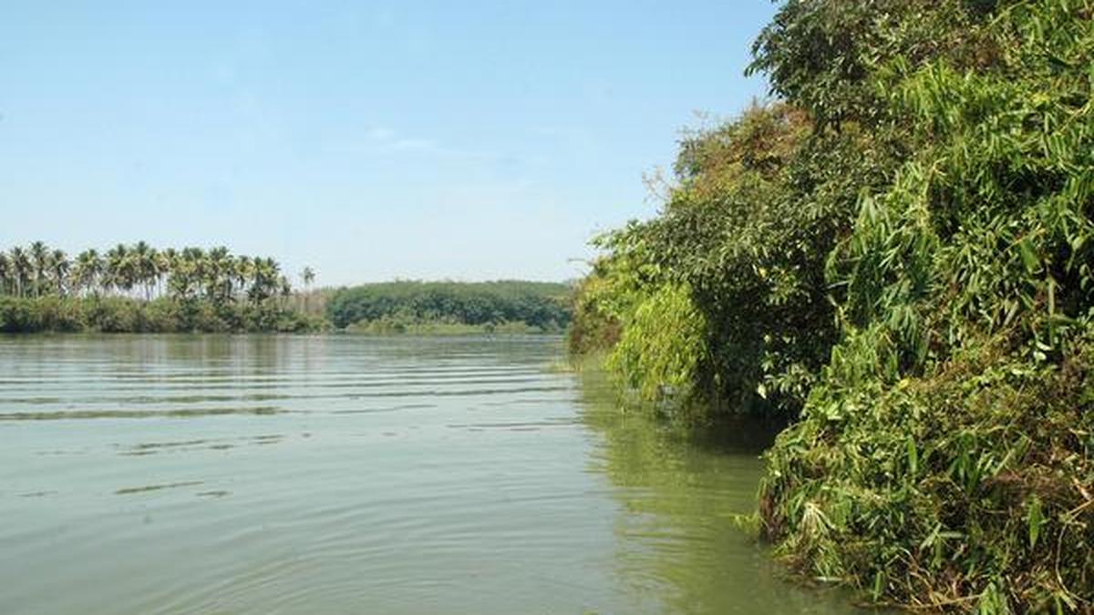 Tourists opt for shorter stay to avoid quarantine - The Hindu