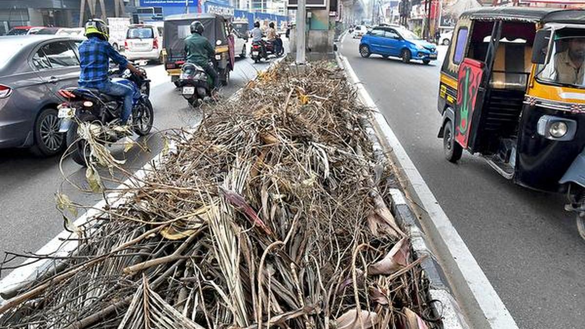 BSWML plans to establish 200 TPD-capacity coconut processing unit - The ...