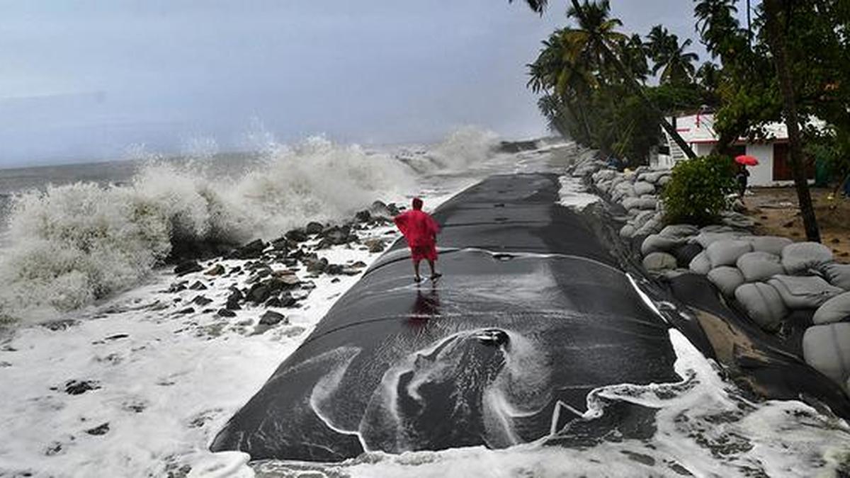 Chellanam can now breathe easy as canal desilting begins - The Hindu