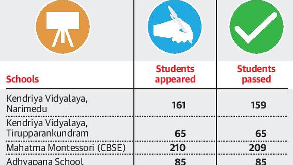 CBSE students pass with flying colours in class 12 examinations - The Hindu