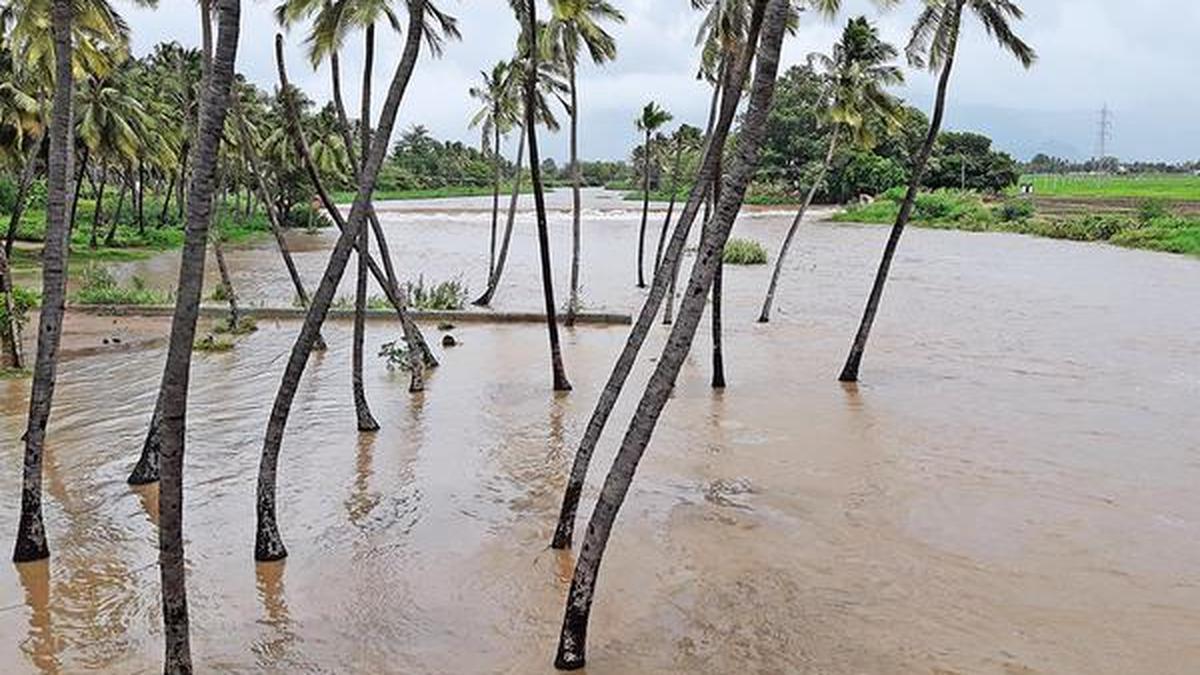 Water level in Vaigai dam crosses 66 feet - The Hindu