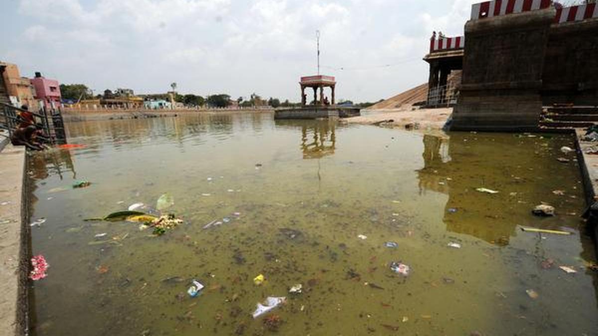 Saravana Poigai awaits restoration - The Hindu