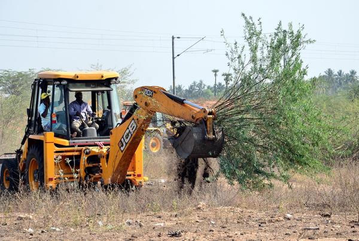 School adopts 2 tanks, takes up desilting of supply channels - The Hindu