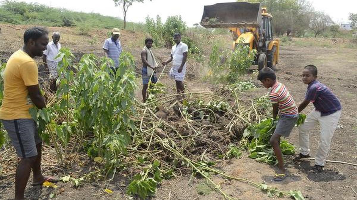 Youths’ contribution ensures desilting of irrigation tank - The Hindu
