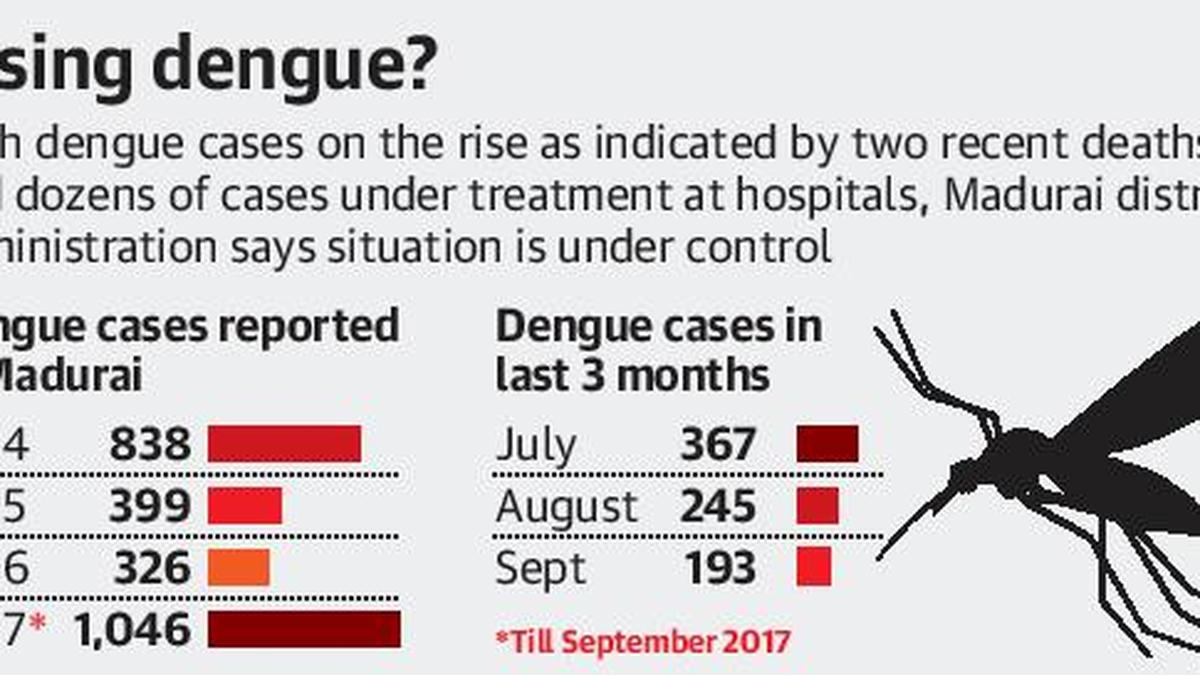 Dengue seemingly on the rise - The Hindu