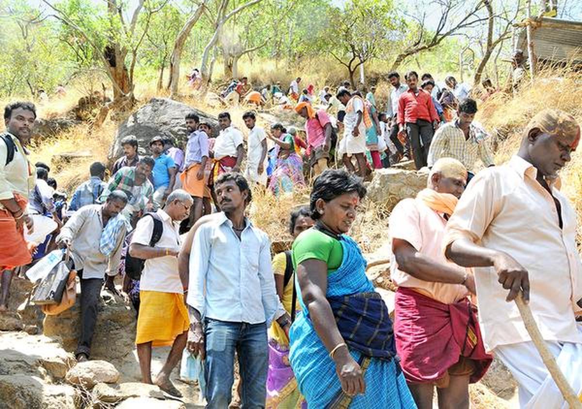 Over 11,000 devotees climb up Sathuragiri hills - The Hindu