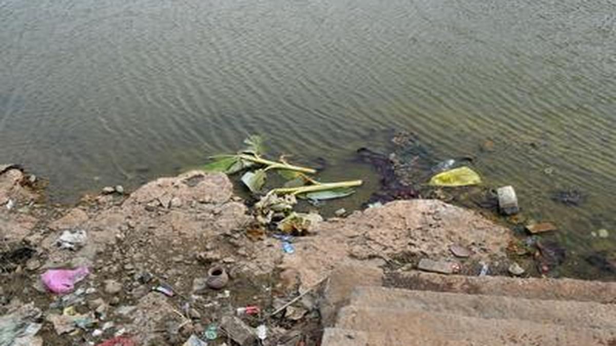 Kalamega Perumal Temple tank needs better maintenance - The Hindu