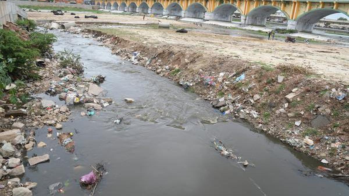 Need for concerted efforts to protect Vaigai - The Hindu